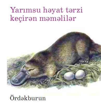 Biologiya 7-ci sinif