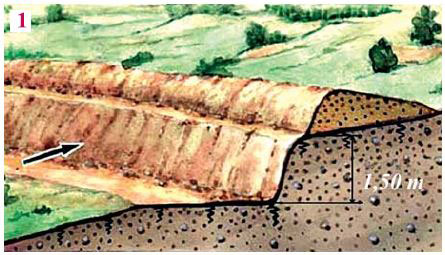 Cağırışaqədərki hazırlıq - 10