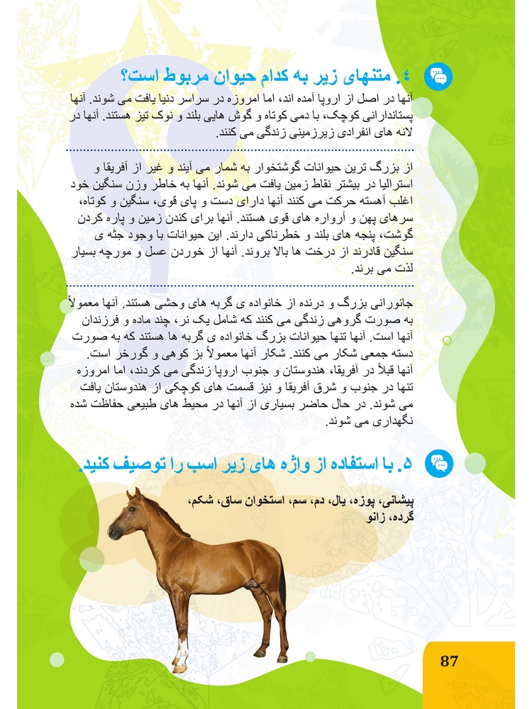 Fars dili 5 (əsas xarici dil)